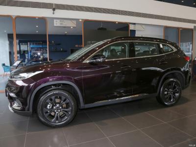 中国 チェリー・シングトゥ 汽油型SUVモデル 2021 電気折り畳み式リアビューミラー付きのシングトゥ TX 販売のため