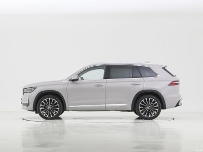 Cina 2024 Geely Monjaro L Zhiqing 1.5T 5 porte 5 posti SUV con sospensione Macpherson in vendita
