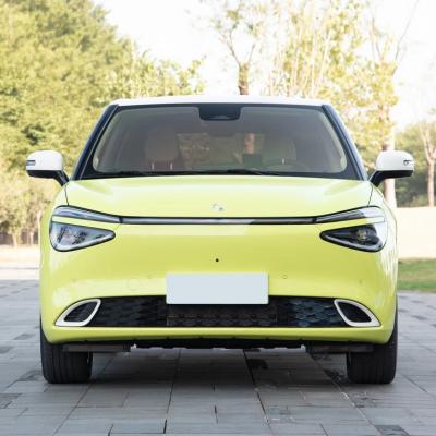 Cina Tipo di carburante ibrido 2024 Nammi 01 MAX Piccolo veicolo ad energia intelligente con autonomia di 430 km in vendita