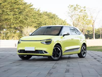 Cina Tipo di carburante ibrido 2024 Nammi 01 MAX Piccolo veicolo ad energia intelligente con autonomia di 430 km in vendita