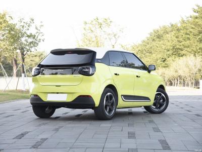 Cina Tipo di carburante ibrido 2024 Nammi 01 MAX Piccolo veicolo ad energia intelligente con autonomia di 430 km in vendita