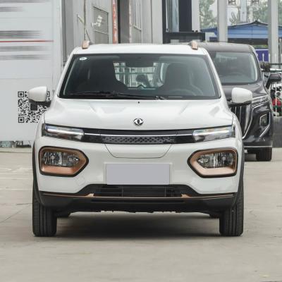 Cina Nammi BoxEV Light Wind Version Modello Standard durata della batteria 201KM Chinese Family Car SUV in vendita