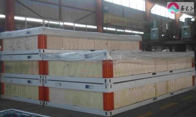 China Flat pack container house for sale