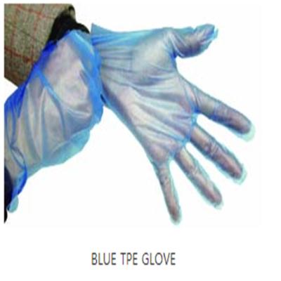 China 2019 China low price Disposable TPE Gloves  M= 2.0g size clear or blue color Smooth or embosse for sale
