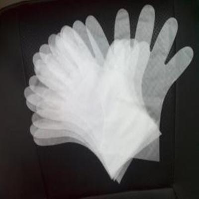 China Low price and high quality Disposable TPE Gloves  2.0g size clear or blue color Smooth or embosse for sale