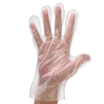 China Food handling Disposable TPE Gloves  2.0g size clear or blue color Smooth or embosse for sale