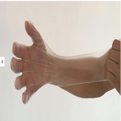 China laboratory use  Smooth or embossed  Disposable TPE Gloves  M= 2.0g  clear or blue for sale