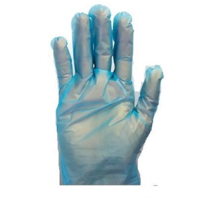 China China Normal qulity TPE Gloves  2.0g size clear or blue color Smooth or embosseThermoplastic Elastomer Glove for sale