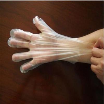 China Disposable suitable TPE Gloves for sale