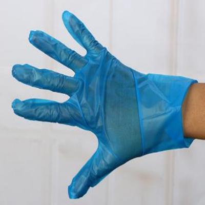 China Blue 2.0g TPE Gloves Thermoplastic Elastomer Glove Smooth with low price and high quality for sale
