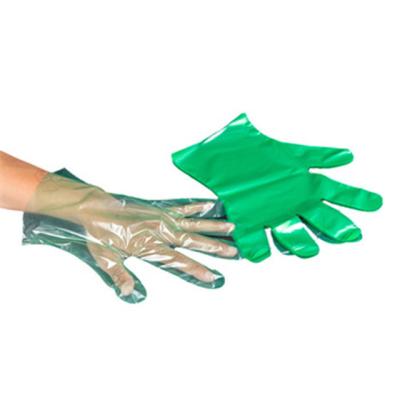 China Ce, SGS Approved HDPE /LDPE Food Grade Disposable Transparent PE Gloves Polyethylene Gloves for sale