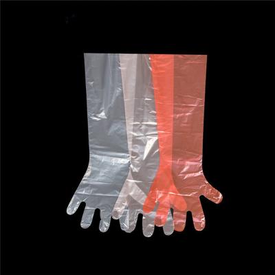 China Hot popular High Quality Plastic PE Long Work Gloves  (CE, ISO certificated) for sale