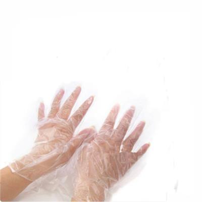 China Hot popular High Quality Plastic PE  Gloves Polyethylene Gloves single use Embossed  or smooth Surface for sale