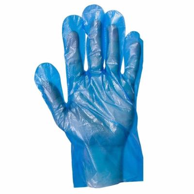 China Food grade Plastic PE  Gloves Polyethylene Gloves  poly gloves single use Embossed  or smooth Surface for sale