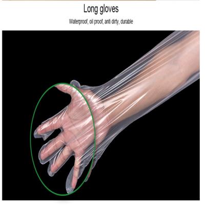 China Disposable Long Sleeve HDPE/LDPE/PE Gloves  clear color for home cleaning ,food processing , salon, hospital. for sale
