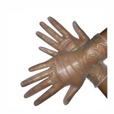 China Vinyl Examination Gloves Vinyl Glove Disposable PVC Gloves 4.0g,4.5g,5.0g,5.3g FDA for sale