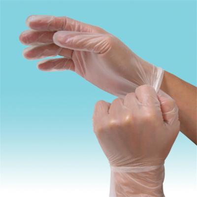 China Clear Powder Free Medical Disposable Vinyl Gloves (AQL: 1.5/2.5/4.0) for sale