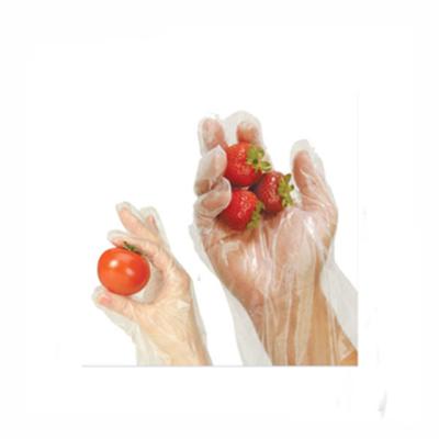 China Food processing Powder Free Disposable Vinyl Gloves  PVC gloves for food industry for sale