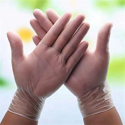 China Japan food service Powder Free Disposable Vinyl Gloves  PVC gloves for food handling for sale