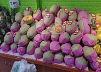 China Nonwoven Fruit Cover for sale