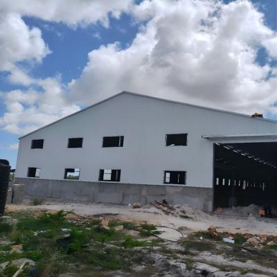 China Steel Structure Prefabricated Workshop Hangar Storage Shed Building for sale