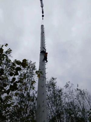 China torre de antena apoiada auto de uma comunicação de 30m à venda