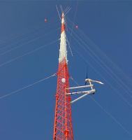 China SGS 42m Mobile Cell Antenna Guyed Wire Tower for sale