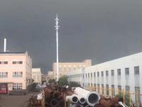 China Lte Platform Type Single Pole Mobile Cell Tower for sale