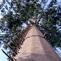 China ChangTong Wind Resistant 80m Mobile Cell Tower for sale
