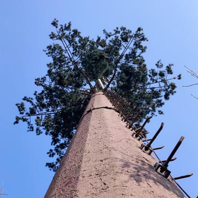 Cina Telecomunicazione artificiale Q345 Monopoles d'acciaio degli alberi in vendita
