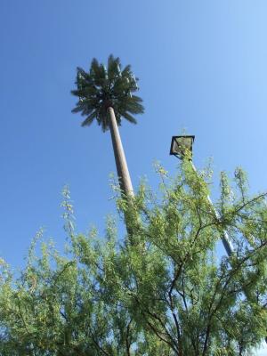 China 4g Monopole het Staaltoren van de Basisstationpalm met de Boomschors van Camouflagebladeren Te koop