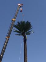 China 40m Grd Monopole Pine Tree Tower Camouflaged for sale