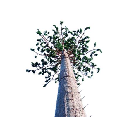 De bionische Boom van de Communicatie Bescherming van de de Torenbliksem Camouflagecel