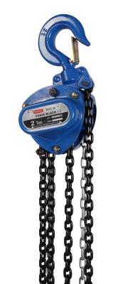 Cina 3m/min Blocco manuale della catena 5kg-100kg Rivestimento in polvere 0,5T-20T in vendita