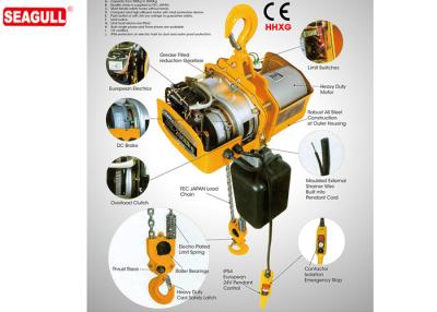 Chine petit type suspendu électrique de grue à chaînes de 100kg 3 pH avec le moteur économiseur d'énergie à vendre