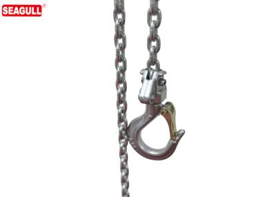 Cina Gru a catena 500kg della leva del portatile con rivestimento durevole del cappotto della polvere in vendita