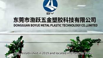 China Factory - Dongguan Boyue Metal Plastic Technology Co., Ltd.