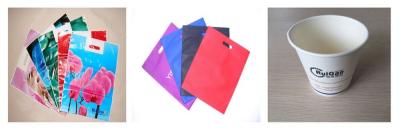 China 4 colours 6 colours Flexo Printing Machine Six Colours Flexographic Printing Machine Paper Printing Machine en venta