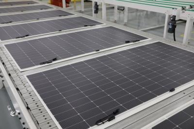 중국 520W 70개 팔레트 당 23.5% 전력 효율 단회전압 온도 계수 0.04% 판매용