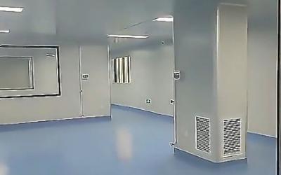 China Professionele op maat gemaakte schoonruimte Gmp Modulaire stofvrije apparatuur Panel Draagbare modulaire schoonruimte Laboratorium Te koop
