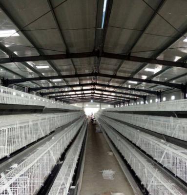 China Prefabricated Steel Structure Poultry Farm Structures Poultry Control Shed Construction Building for Chicken for sale