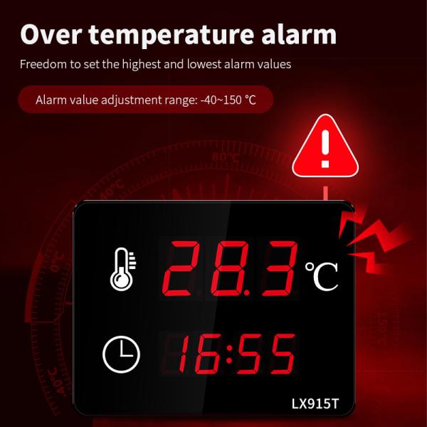Quality LX915T-A QMZMRCLT High Accuracy Water Thermometer Digital - Dual External Probes for sale