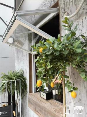 China Smart Home IoT Motorized Folding Windows - Wi-Fi/Bluetooth/Zigbee Tri-Protocol Control for sale