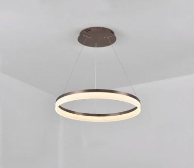 China Rose Gold Acrylic LED Pendant Light with 2 Rings for sale