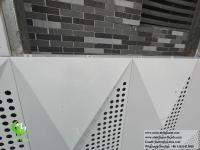 China Custom 3-Dimensional Perforated Solid Aluminum Facade Cladding Panel for sale