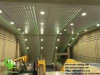 China Perforated Metal Wall Cladding with LED Light Integration Customizable RAL Colors and CNC Laser Cutting for Elevator Decoration for sale