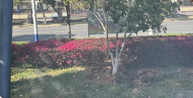 Grey colored fiberglass mosquito net