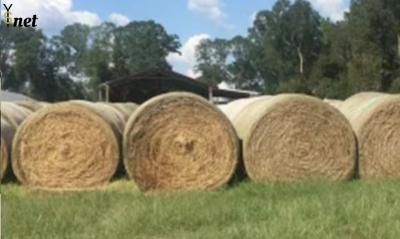 Cina Traspirante Ronda Bale Net Wrap impermeabile 48 pollici Net Wrap Anti UV in vendita