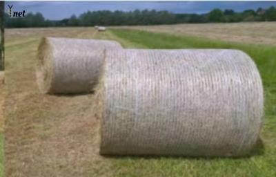 Cina Traspirante Ronda Bale Net Wrap impermeabile 48 pollici Net Wrap Anti UV in vendita