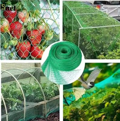 China 7GSM Bird Proof Net Green Bird Proof Netting For Fruit Trees for sale